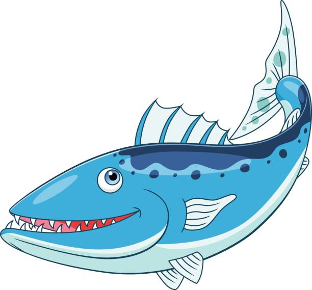 Barry the Barracuda II: – Write Brain